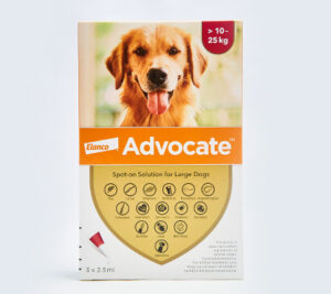 Advocate For Cats - Elanco Malaysia