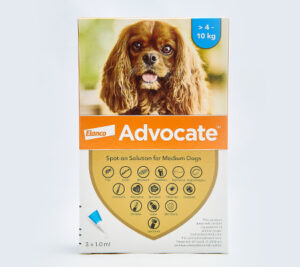 Advocate For Dogs - Elanco Malaysia