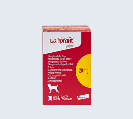 Galliprant For Dogs - Elanco Malaysia